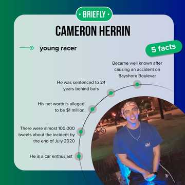 Story of Cameron Herrin: car accident, sentence, parents, where is he ...