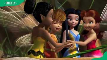 Tinker Bell movies in order: a quick and easy guide for fairy fans ...