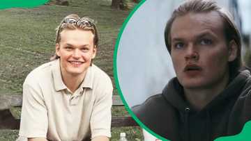 David Stakston: Facts and bio of the Norwegian-American actor - Briefly ...