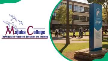 Majuba College application, deadlines, courses, and fees - Briefly.co.za