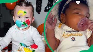 NLE Choppa's kids: Meet Clover Brylie and ChoZen Wone - Briefly.co.za