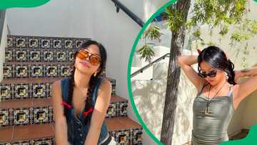 Emily Ha's age and personal life: a complete bio with fun facts ...