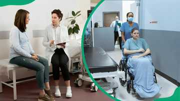 GEMS medical aid scheme: Get a detailed overview for 2024 - Briefly.co.za