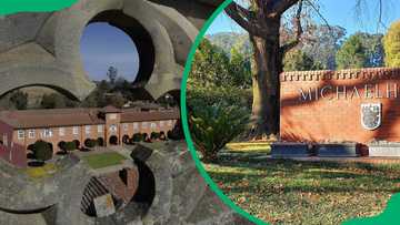 Michaelhouse fees in South Africa: All about the prestigious private ...