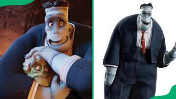The 25 most famous fat cartoon characters of all time - Briefly.co.za