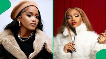 Zee Nxumalo shines on 'Friends of Amstel: The Challenge' new game show ...