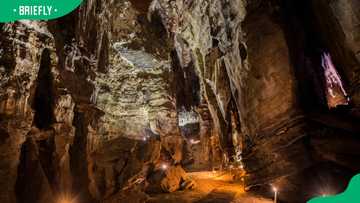 Maropeng boat ride price and activities: What to expect - Briefly.co.za