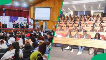 VUT late application 2026: dates, courses, forms, fees, prospectus ...