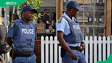 SAPS firearm status check: Everything you need to know - Briefly.co.za