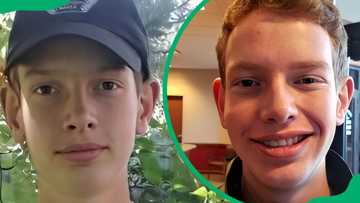 The disappearance of Jed Hall: A complete timeline of events - Briefly ...