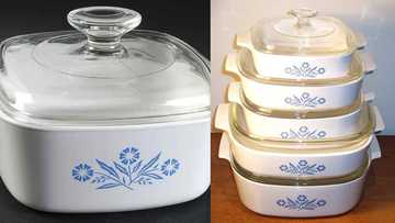 Top 10 most rare vintage CorningWare ever created by Corning - Briefly.co.za