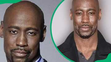 What happened to Albert Ezerzer from Suits? Everything to know ...