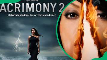 Acrimony 2 update: is a sequel in the works? What fans should know ...