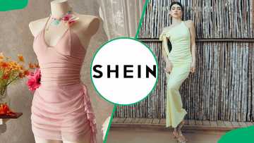 How to reach SHEIN customer service in South Africa fast - Briefly.co.za