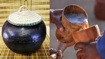 Top 17 best Zulu traditional foods: meals and drinks with pictures ...
