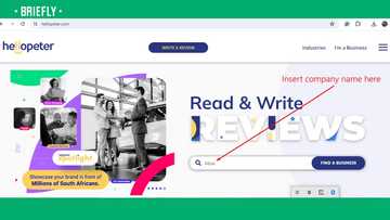 How to check a company on Hellopeter: A step-by-step guide - Briefly.co.za