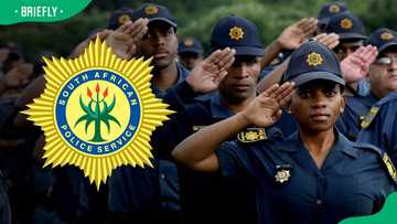 SAPS firearm status check: Everything you need to know - Briefly.co.za