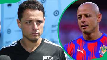 Where is Chicharito? Age, team, and stats of Mexico's top goal scorer ...