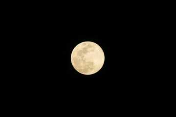What to know about the NASA-funded commercial Moon fleet - Briefly.co.za
