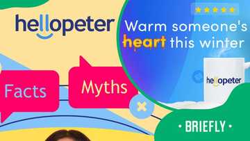 How to check a company on Hellopeter: A step-by-step guide - Briefly.co.za