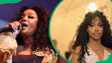 SZA before surgery: How the singer transformed her body and face ...
