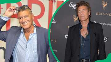 Steven Bauer: Spouse, age, net worth, career & biography - Briefly.co.za