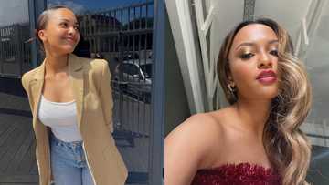 Where are the Idols SA winners today? Here is everything to know ...