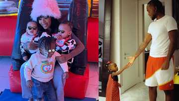 Summer Walker's kids: Ages, names, pictures and their fathers - Briefly ...