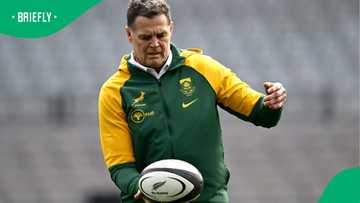 Why Handré Pollard Was Left Out of the Springboks Team - Briefly.co.za