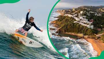 Top 16 things to do in Ballito: Discover the Dolphin Coast - Briefly.co.za