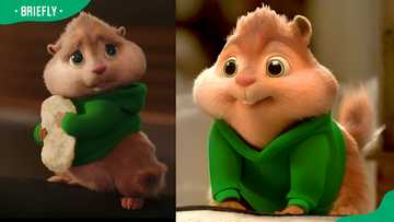 Is Theodore from Alvin and the Chipmunks dead? Fans want answers ...