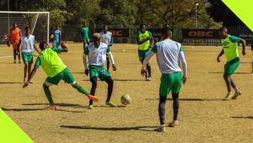 Coach Dylan Kerr Announces Surprising Decision About His Future at ...