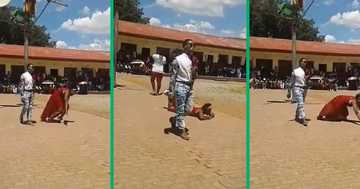 South African Man Reminds People of the “King” Who Kept Strutting After ...