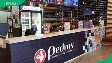 Pedros menu and prices in South Africa (updated for 2024) - Briefly.co.za