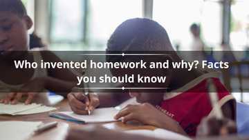 Who invented homework and why? Facts you should know - Briefly.co.za