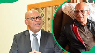 Stanley Mathabatha's biography: from Limpopo Premier to Deputy Minister ...