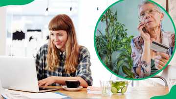 Two-pot system explained: A simple guide for South Africans - Briefly.co.za