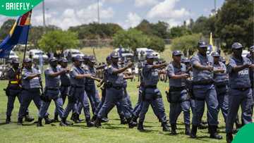 Western Cape Police Suspends 23 Officers Over Involvement in Taxi ...