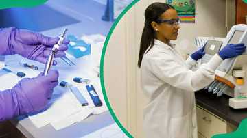 How much is a DNA test price in Johannesburg? Paternity test in 2024 ...