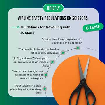 Can you bring scissors on a plane? Guidelines for safe travel - Briefly ...