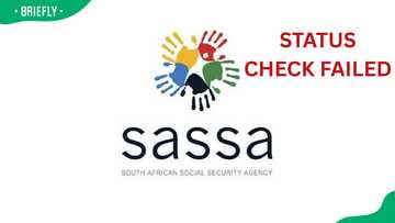 SASSA status check failed: common causes and quick solution - Briefly.co.za