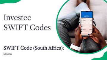 Investec branch code and universal branch code for 2024 explained ...