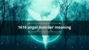 1616 angel number: its true meaning and why you keep seeing it ...