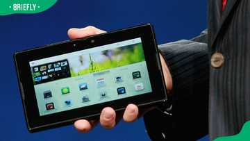 Douglas Fregin's net worth: Is the BlackBerry co-founder a billionaire? - Briefly.co.za