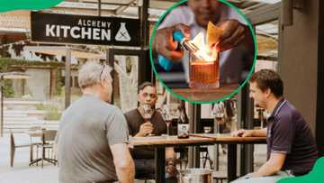 Top 16 things to do in Ballito: Discover the Dolphin Coast - Briefly.co.za