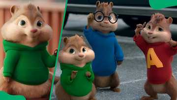 Is Theodore from Alvin and the Chipmunks dead? Fans want answers ...