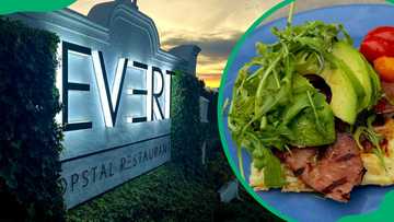 Best Durbanville restaurants for foodies hunting the perfect bite ...