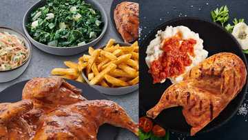 Galito’s menu and prices in South Africa (updated for 2026) - Briefly.co.za