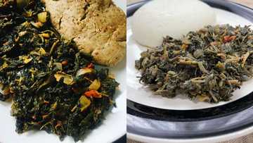 20 must-try Zimbabwe traditional food recipes (with images) - Briefly.co.za