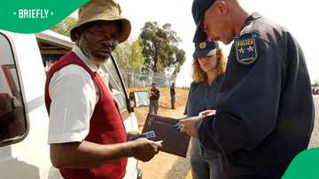 No New Driver’s Licence Rules for Seniors, Transport Department ...